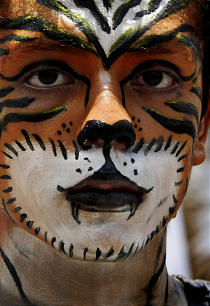 Furry Face Paint | FOXSYLVANIA