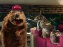 Netflix Beaver Commercial… | FOXSYLVANIA