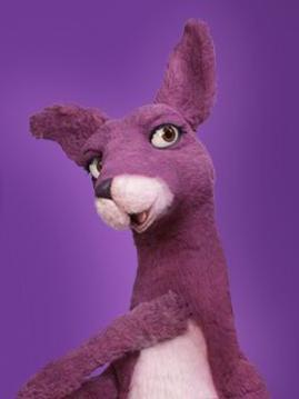 The Aussie Hair Care Company Purple Kangaroo… | FOXSYLVANIA