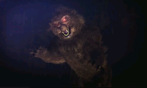 Death Cat of Cherokee County… | FOXSYLVANIA