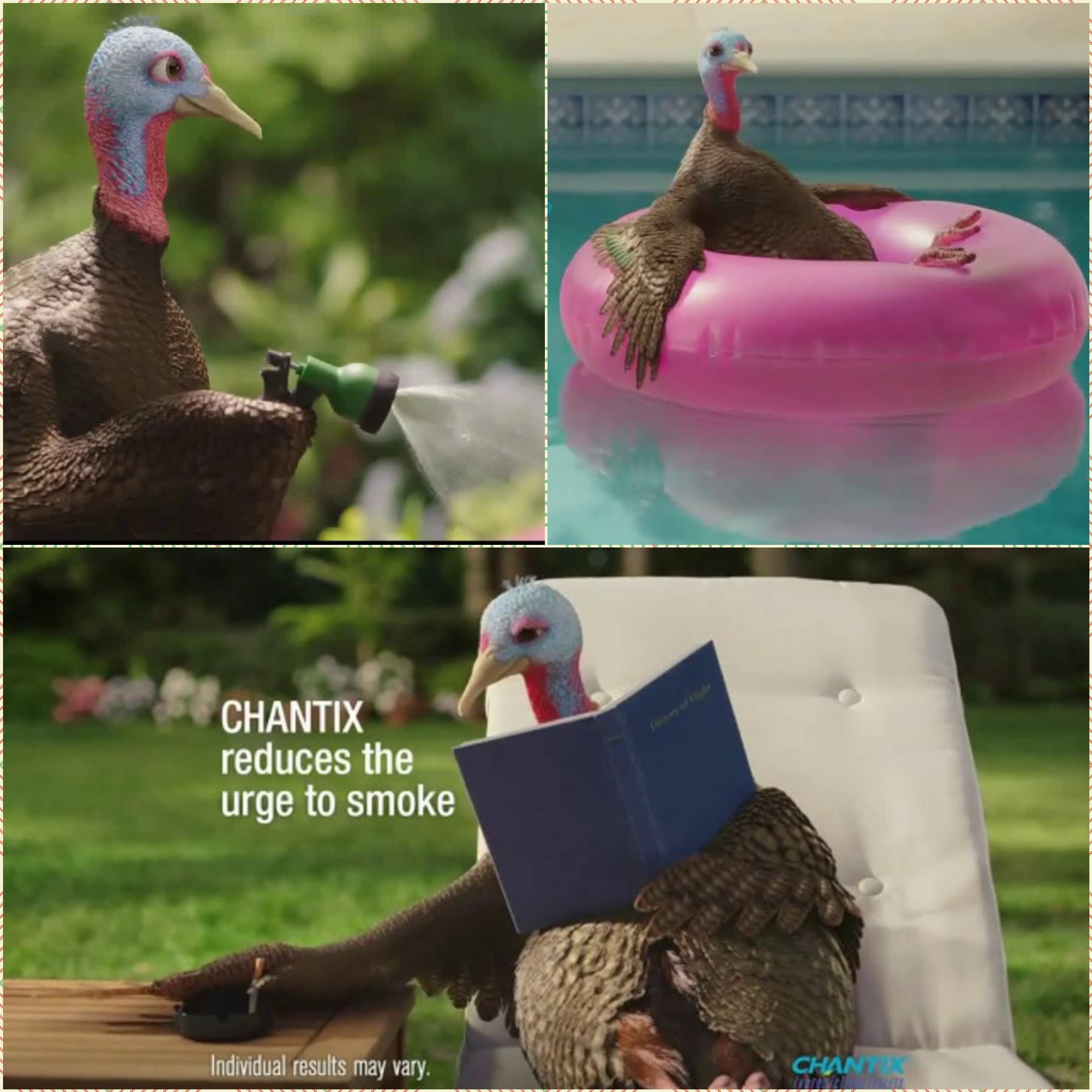 Chantix “Slow Turkey” Commercial… | FOXSYLVANIA
