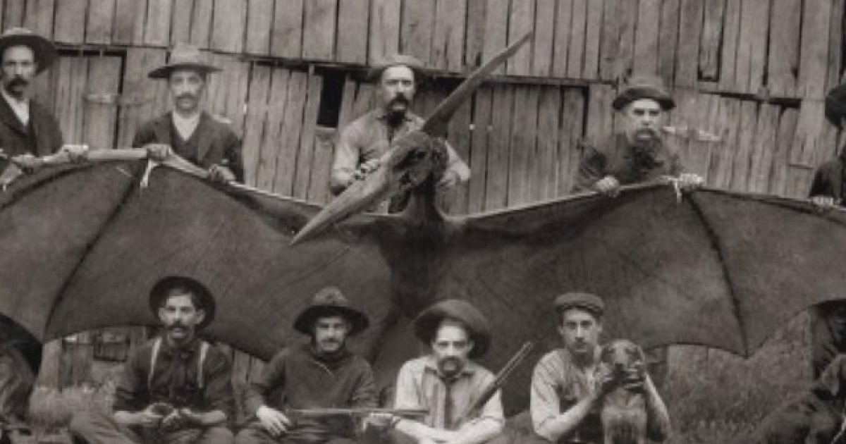 The Tombstone Pterodactyl and Vintage Cryptids… | FOXSYLVANIA