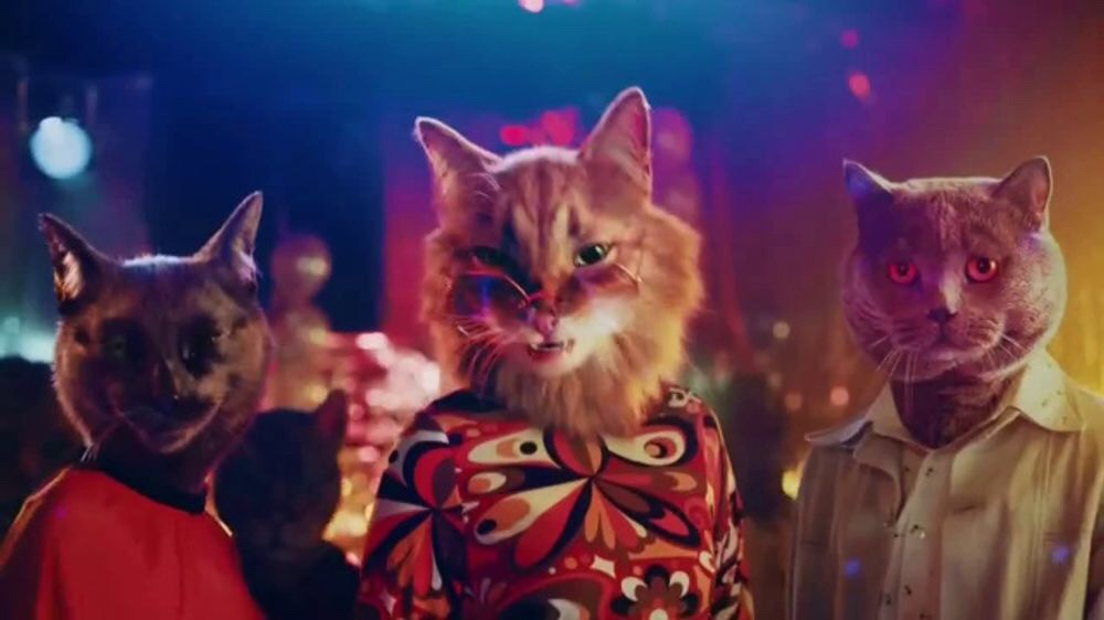Arm & Hammer “Slide Out of Funk” Cat Disco Commercial… | FOXSYLVANIA