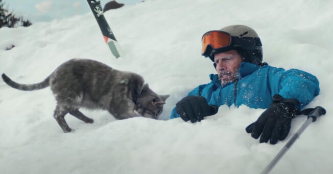 Walter, the Chevy Silverado Cat… | FOXSYLVANIA
