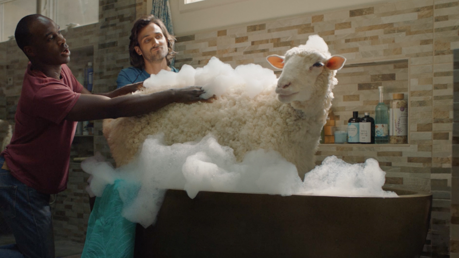 Tiguan Commercial With Sheep