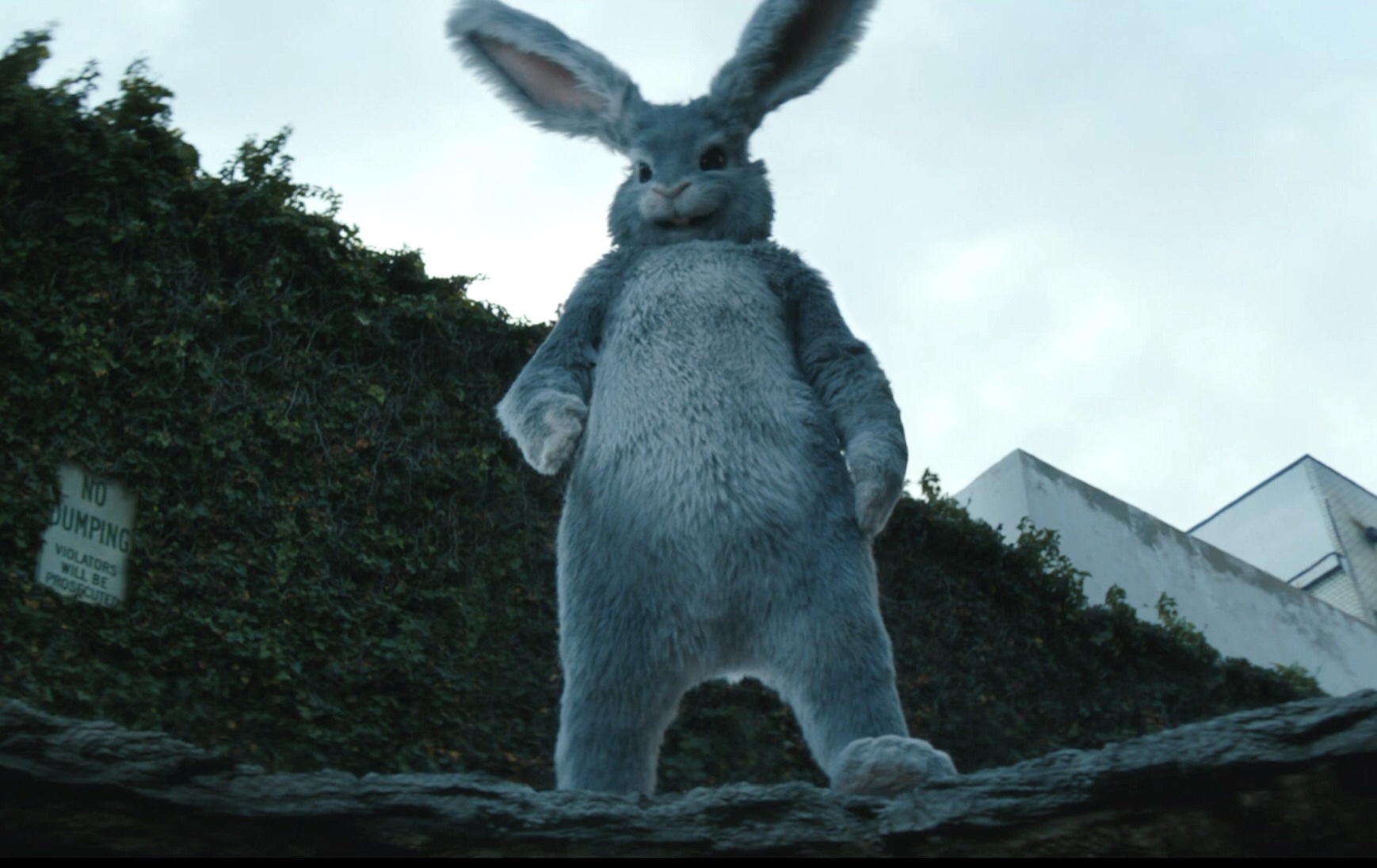 Tubi’s “Rabbit Hole” Commercial… | FOXSYLVANIA
