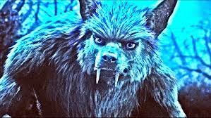 14 | September | 2025 | FOXSYLVANIA